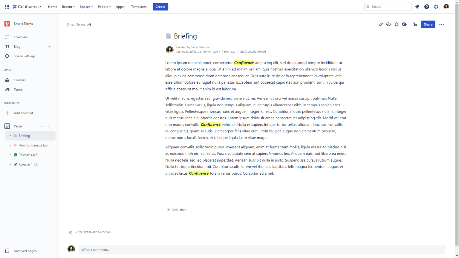 How to customize Smart Terms for Confluence highlight engine